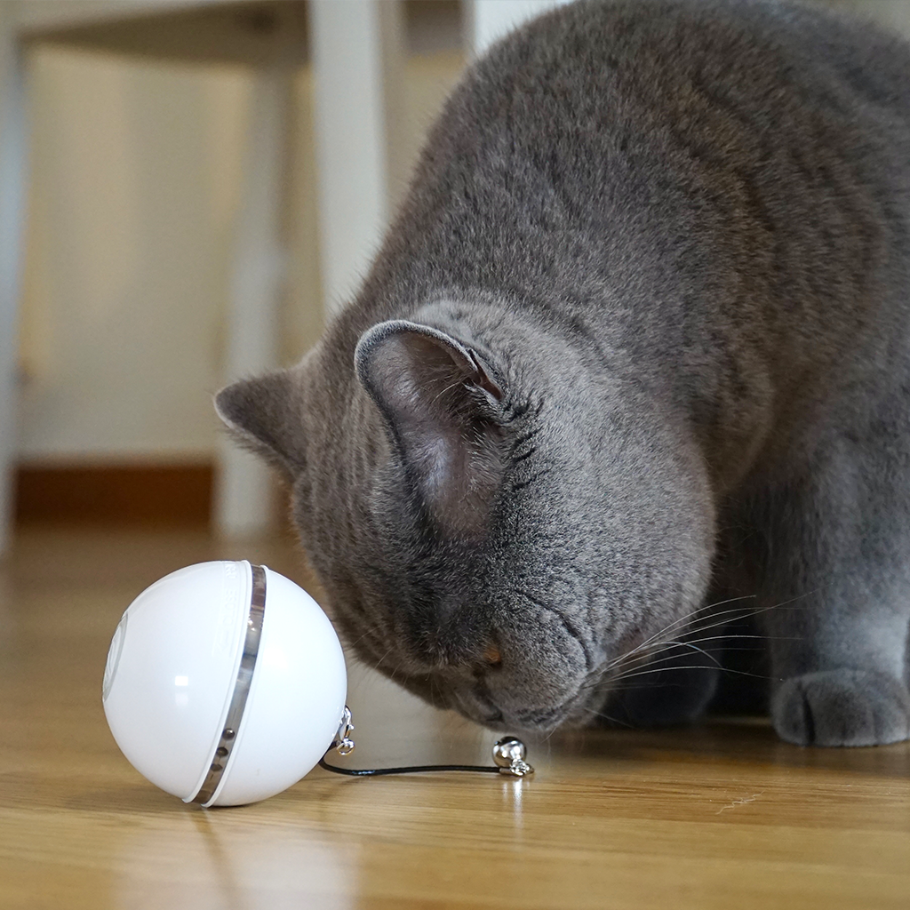 Blazing Ball | Interactive Rolling Cat Toy | Kittio